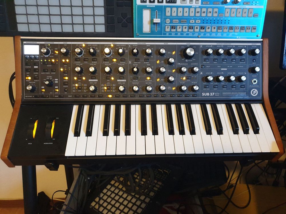 Moog sub 37 tribute edt. (Gebraucht) in Luzern für CHF 800 – nur ...