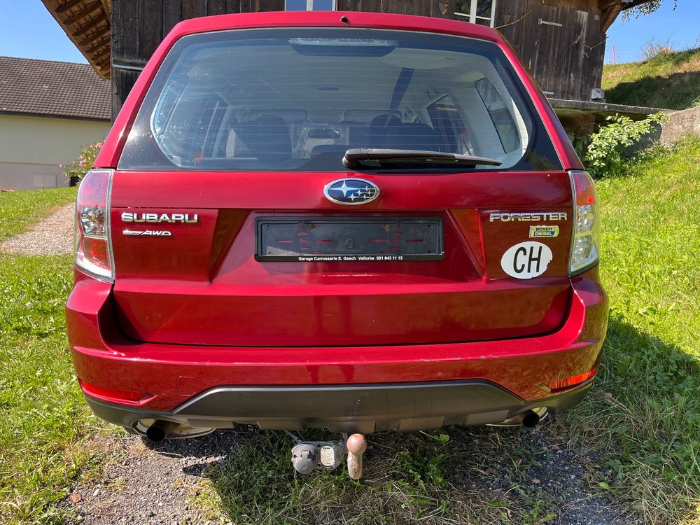 Subaru Forester | Kaufen auf Ricardo