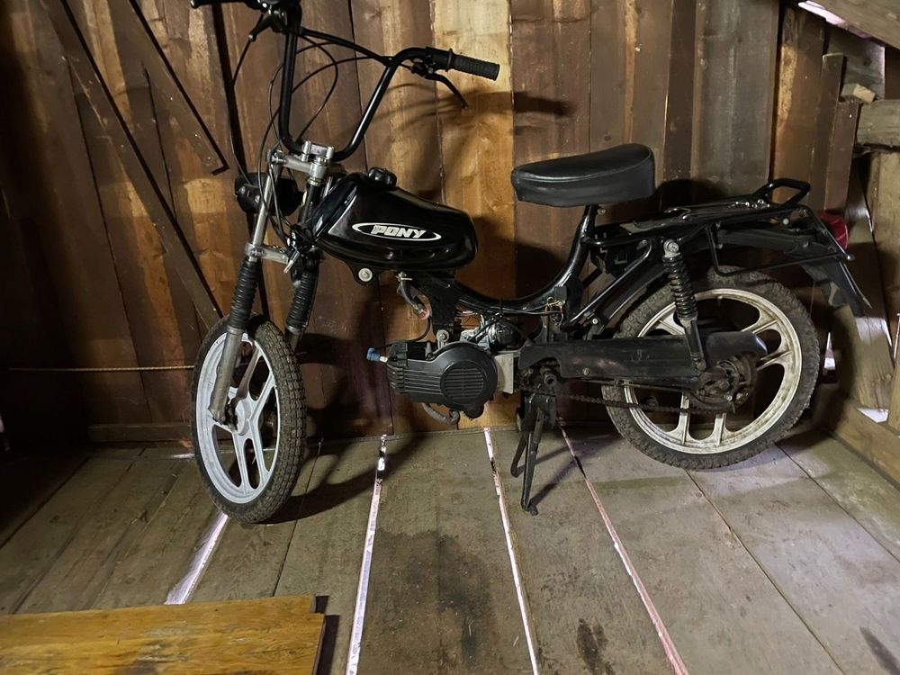 Pony cross | Kaufen auf Ricardo