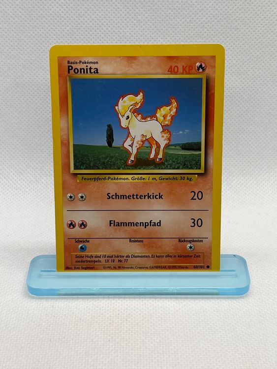 Ponita Basis Set | Kaufen auf Ricardo