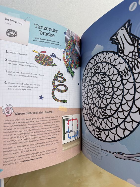 Das Physik-Bastelbuch für Kinder (Neu (gemäss Beschreibung)) in Baden ...