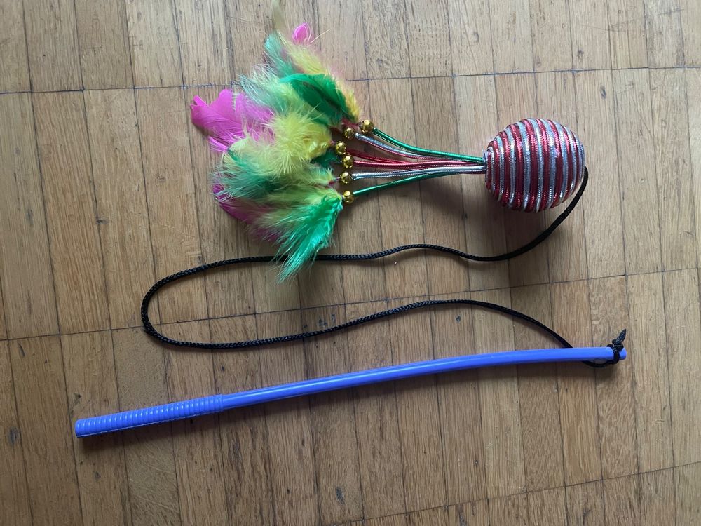 Katzenangel (Neu (gemäss Beschreibung)) in Kloten für CHF 3 – mit Lieferung auf Ricardo kaufen