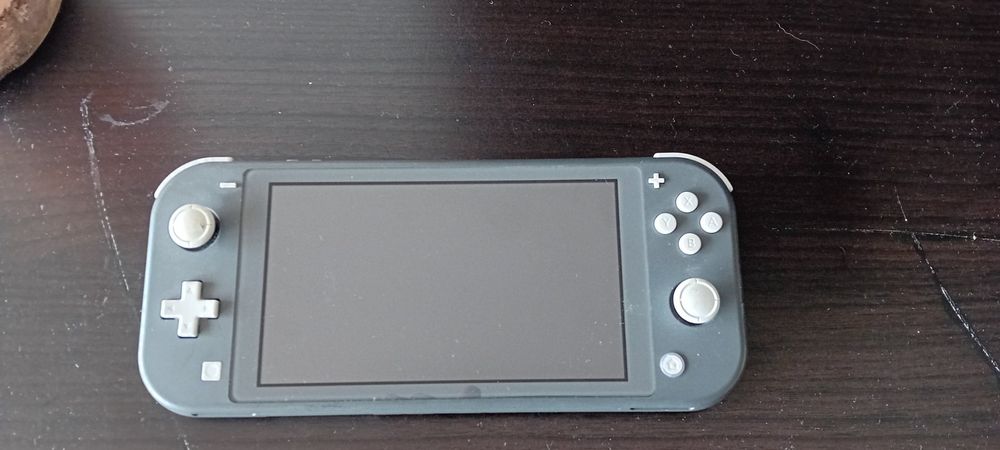 Nintendo Switsch Lite Grau (Gebraucht) in Erlinsbach SO für CHF 100 ...