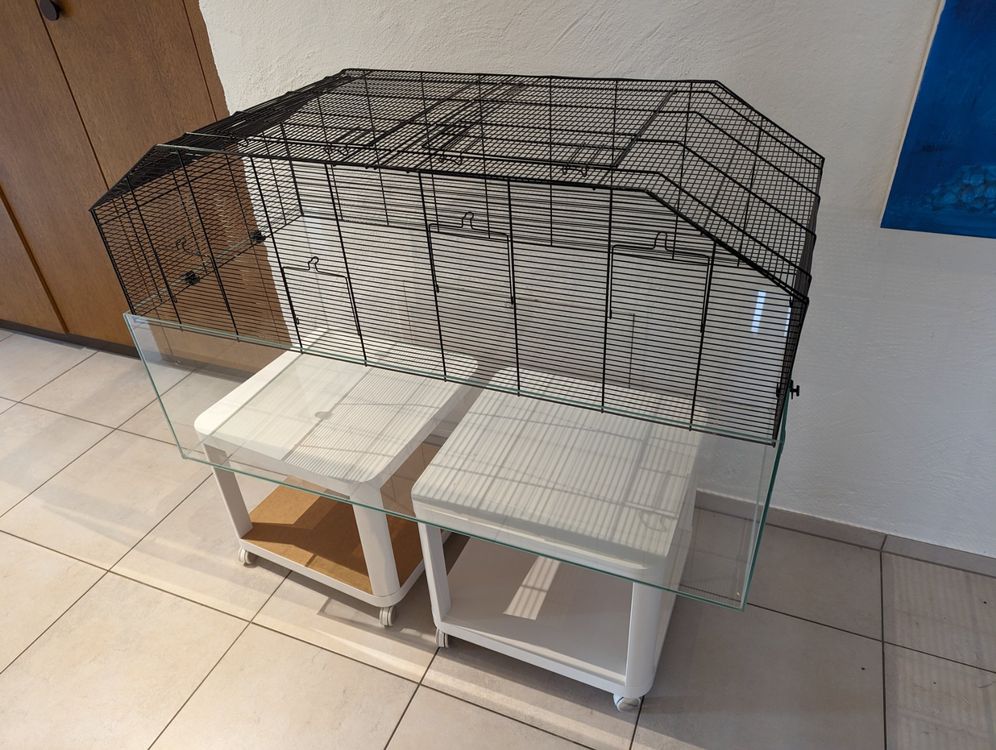 Mäusekäfig (Gebraucht) in Illnau für CHF 1 – nur Abholung auf Ricardo ...
