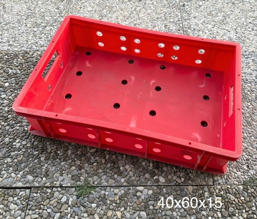 Box Kunststoffbox Lagerbox Stk (Gebraucht) in Gerlafingen für CHF 8 ...