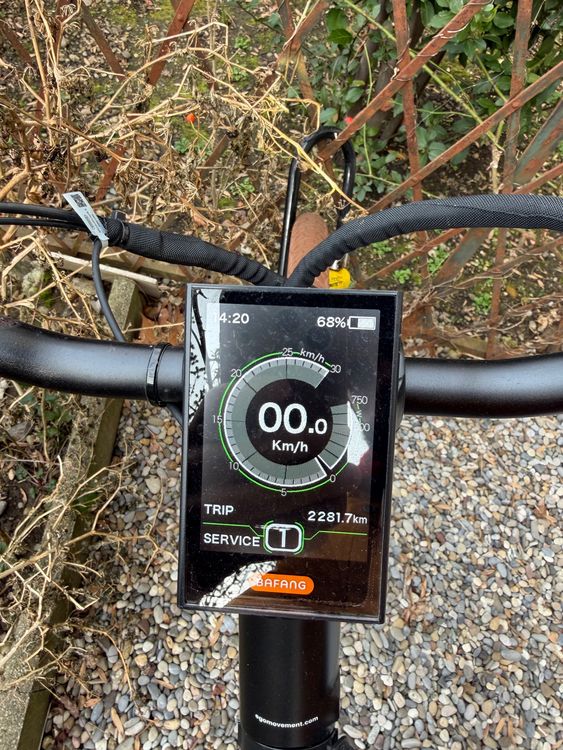 Top Ego Movement Julia E-Bike (Gebraucht) in Zürich für CHF 600 – nur ...
