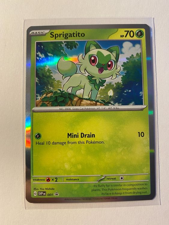 Pokemon Sprigatito SVP 001 Promo EN (Neu (gemäss Beschreibung)) in Elgg ...