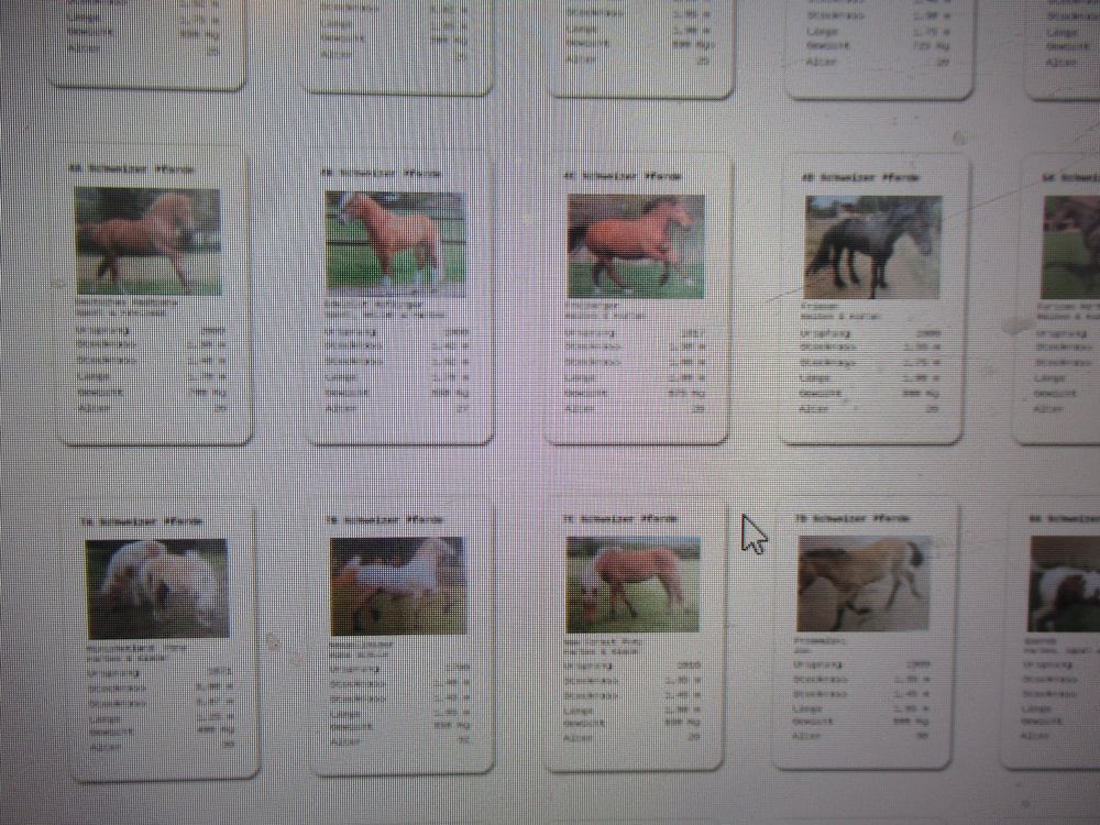 Schweizer Pferde Quartett (Neu und originalverpackt) in Herznach für CHF 32 – mit Lieferung auf ...