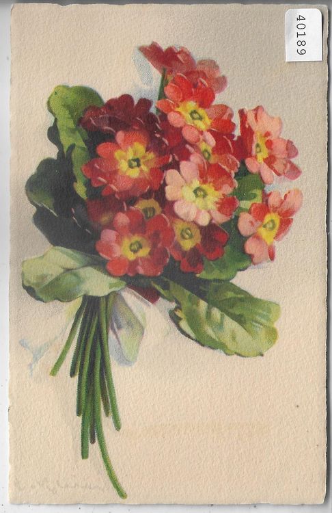 Catharina Klein - Blumenstrauss - bouquet de fleurs - Litho (Gebraucht) in Ettingen für CHF 2 ...
