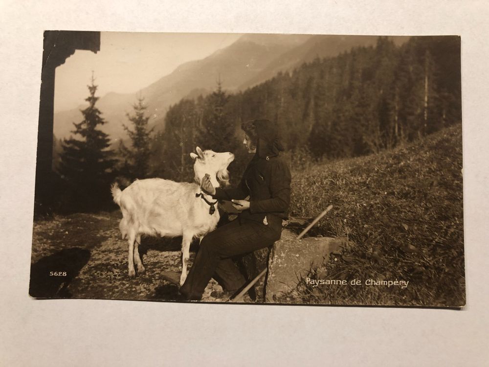 Paysanne de Champery (Gebraucht) in für CHF 7 – mit Lieferung auf ...