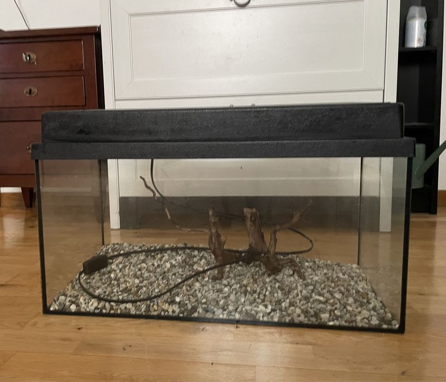 Aquarium 54 Liter (Gebraucht) in Winterthur für CHF 36 – nur Abholung ...