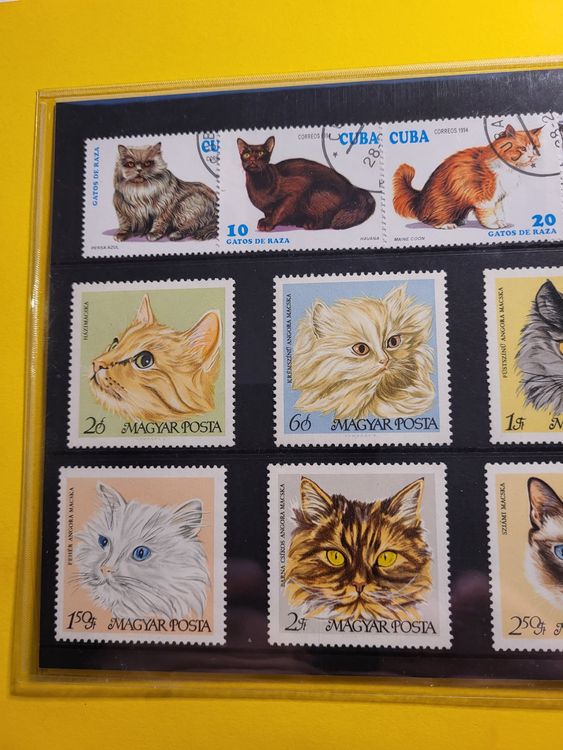 Katzen 13 Briefmarken, Kuba u. Ungarn auf Steckkarte (Gebraucht) in ...