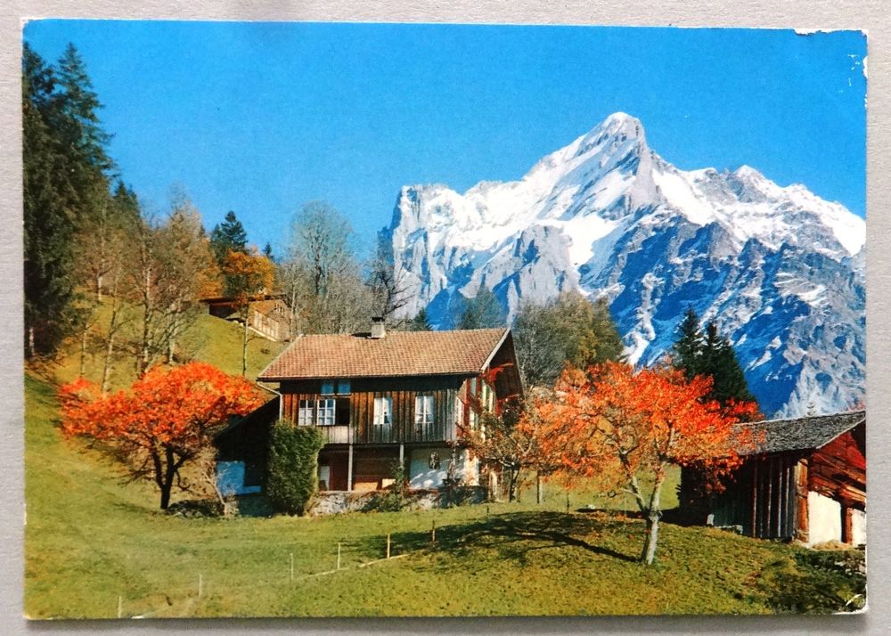 Grindelwald | Kaufen auf Ricardo