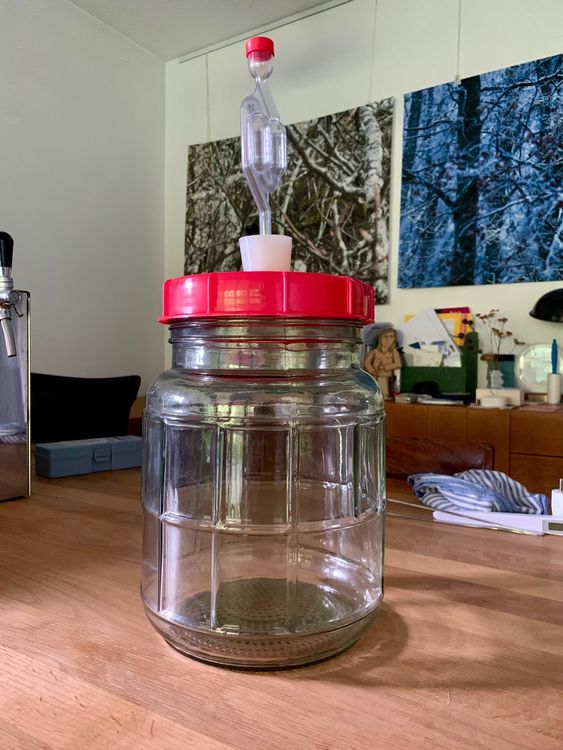 5L Glass Fermenter (wide mouth) w/ Ferm Lock & Auto-Siphon (Gebraucht ...