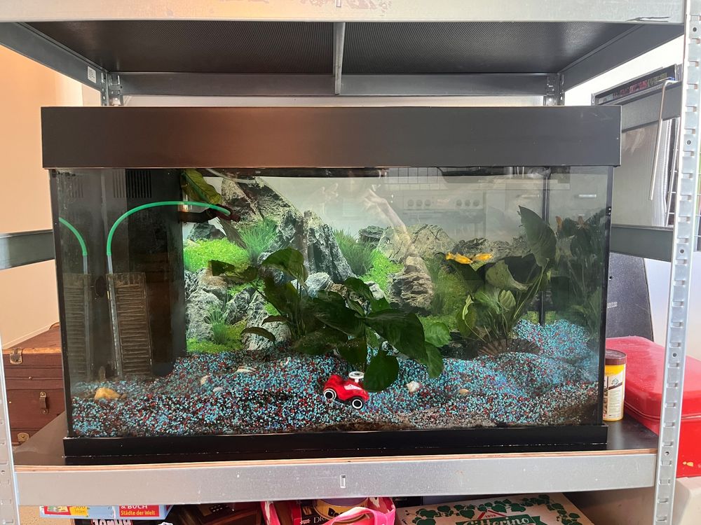aquarium 250l (?) (Gebraucht) in Zürich für CHF 50 – nur Abholung auf Ricardo kaufen