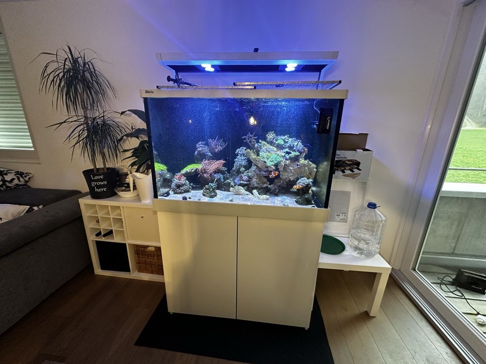 Red Sea Max S400 (Gebraucht) in Fischingen für CHF 1500 – nur Abholung ...