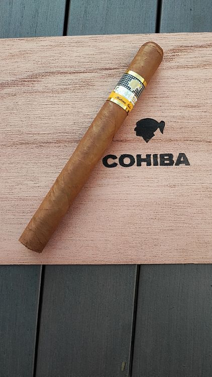 Cohiba (Neu und originalverpackt) in Heitenried für CHF 238 – mit Lieferung auf Ricardo kaufen