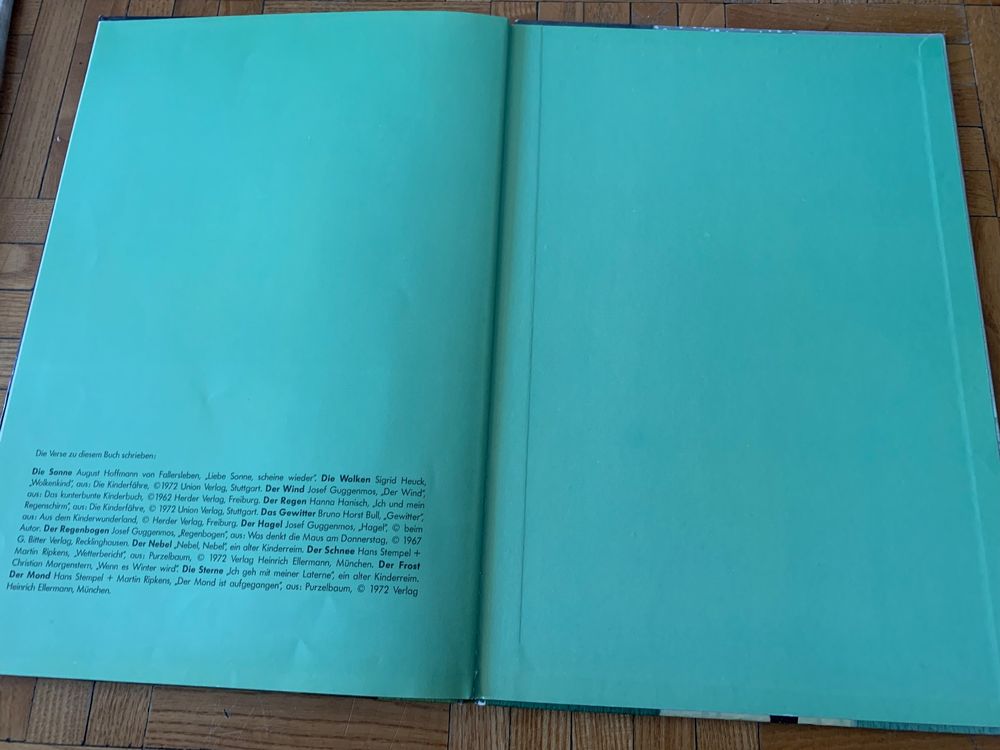 Wenn es regnet,lach mein Schirm Veronika Zacharias (Gebraucht) in Uster ...