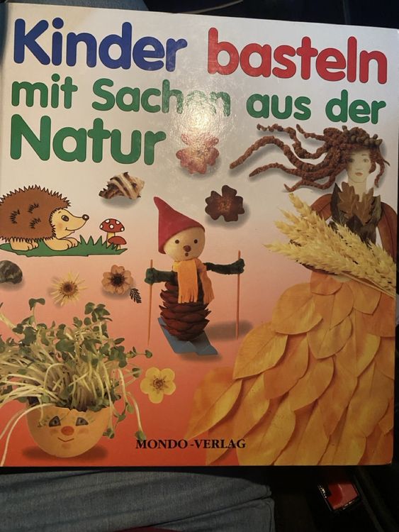 Kinder basteln mit Sachen aus der Natur (Gebraucht) in Römerswil LU für ...