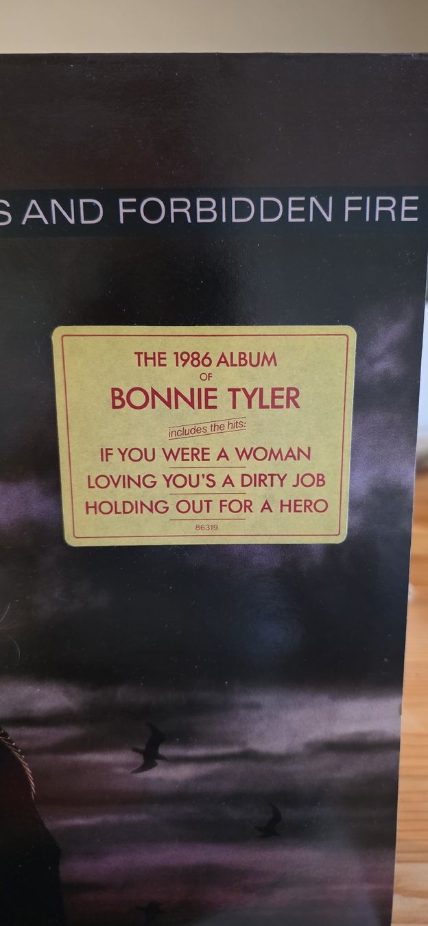 Bonnie Tyler - Secret Dreams and forbidden fire 1986 Nm,Nm (D'occasion ...