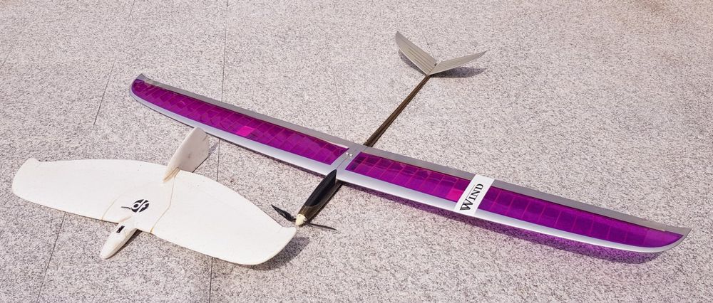 Planeur Fibre et Alula | Kaufen auf Ricardo