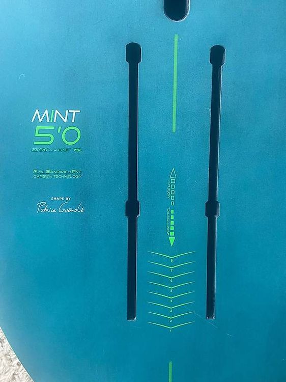 Planche Wingfoil Gong Mint FSP pro 5'0 75L (Gebraucht) in SATIGNY für ...