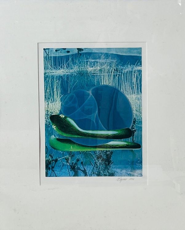 KÜNSTLER UNLESERLICH SIGNIERT COLLAGE MIT PASSEPARTOUT (Gebraucht) in Gersau für CHF 35 – mit ...