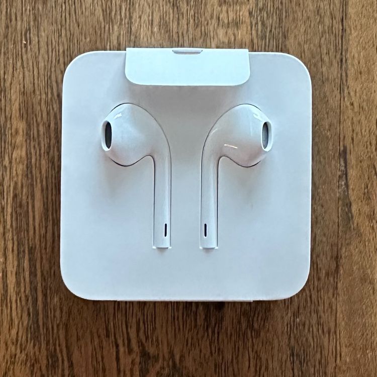 Original Apple Kopfhörer mit Lightning Adapter - Neuwertig (Gebraucht ...