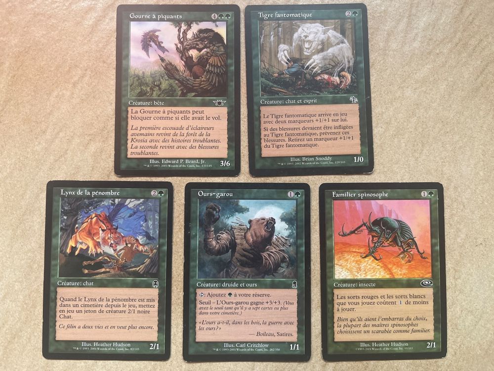 MtG Magic The Gathering 5 cartes françaises | Kaufen auf Ricardo