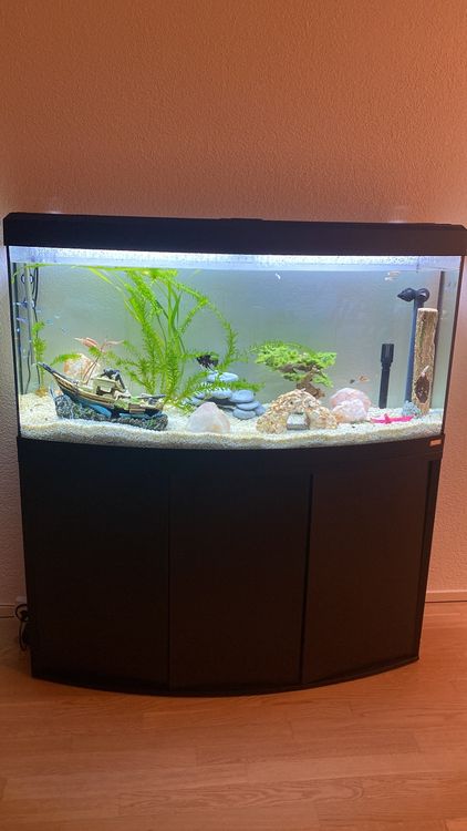 Fluval Aquarium 260l mit LED + Unterschrank (Gebraucht) in Tuggen für CHF 190 – nur Abholung auf ...
