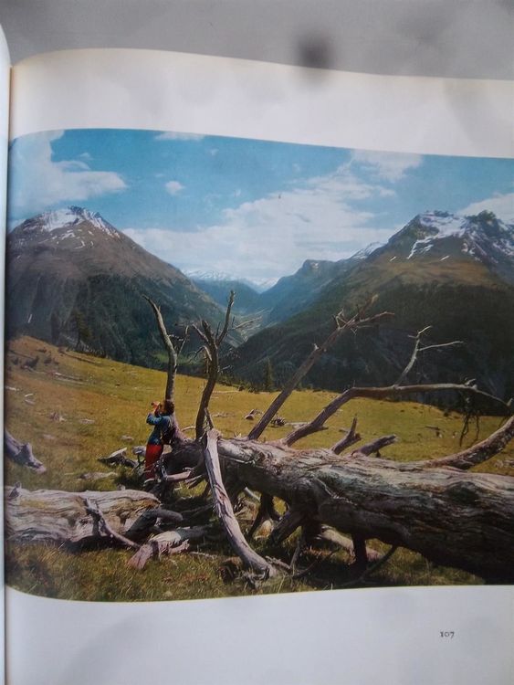 Leuchtendes Engadin 1972 (Gebraucht) in Bellach für CHF 5 – mit Lieferung auf Ricardo kaufen