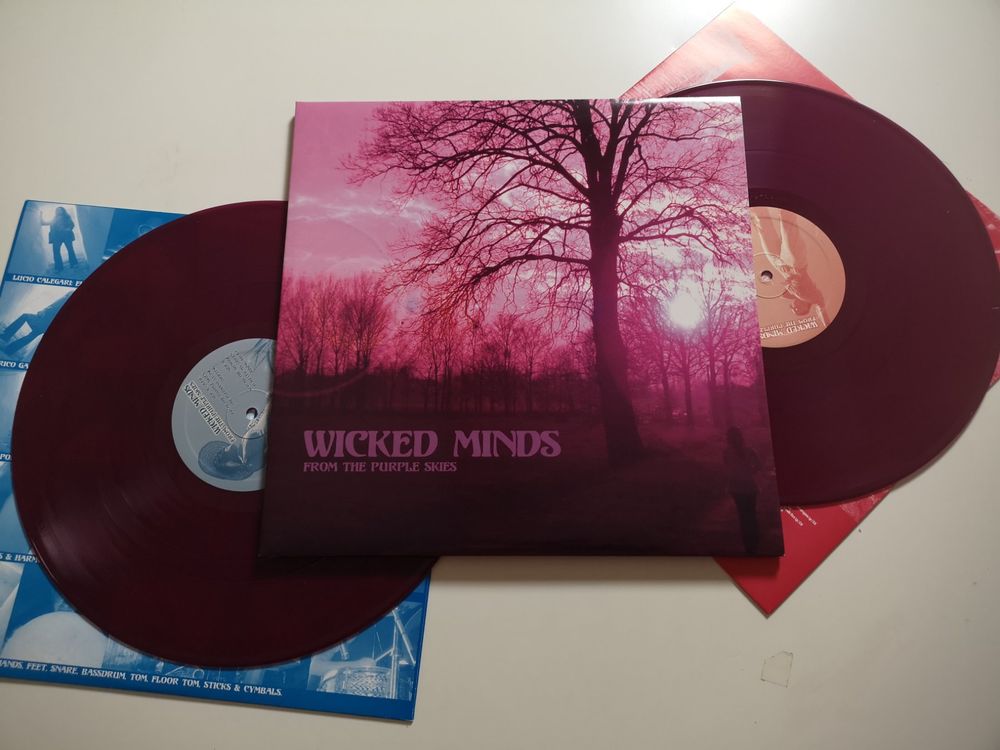 Wicked Minds – From The Purple Skies Rock (Neu (gemäss Beschreibung ...