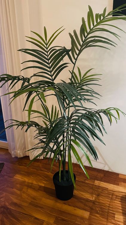 Palme - aus Plastik | Kaufen auf Ricardo
