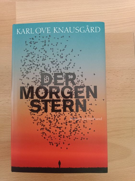 Karl Ove Knausgard Der Morgenstern Apokalypse Dystopie Roman (Neu ...