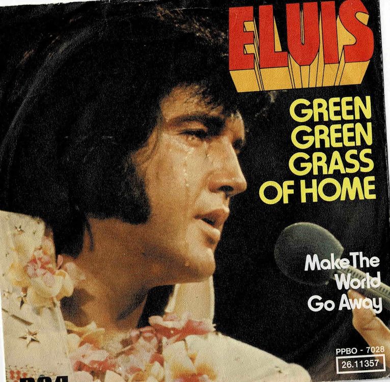 Elvis Presley Green green (Gebraucht) in Sulz AG für CHF 5 – mit ...