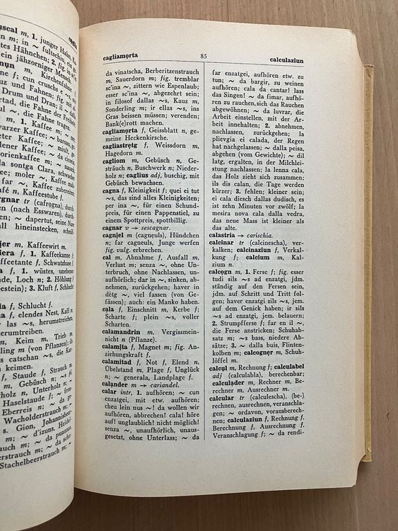 Vocabulari Romantisch - Romanisch Wörterbuch Sursilvan (Gebraucht) in ...