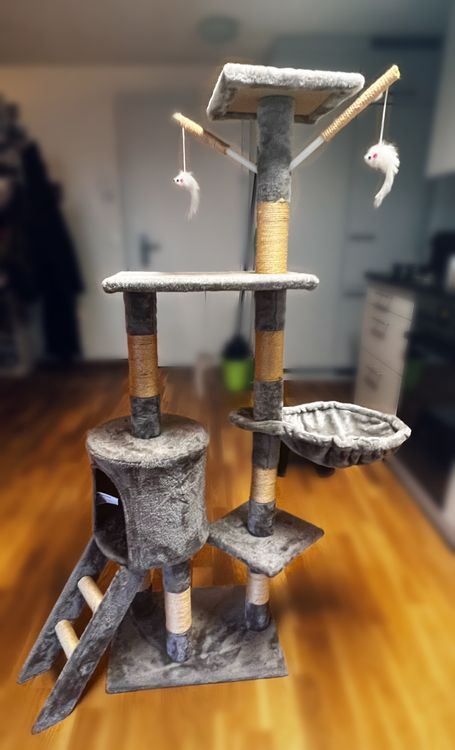 Grauer Katzenbaum mit mehreren Etagen (Neu (gemäss Beschreibung)) in ...