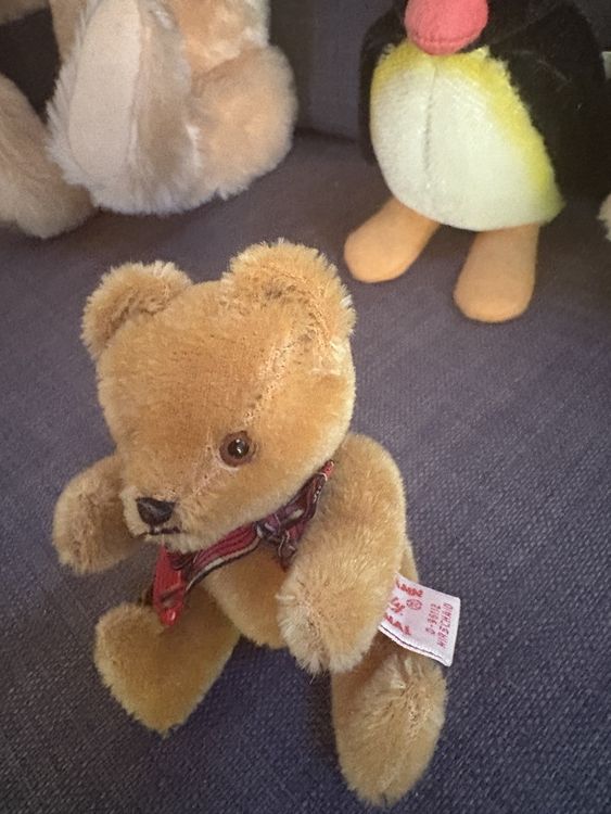 Süsser Steiff Teddy Bär, Sammlerstück, Vintage Zustand (Gebraucht) in ...