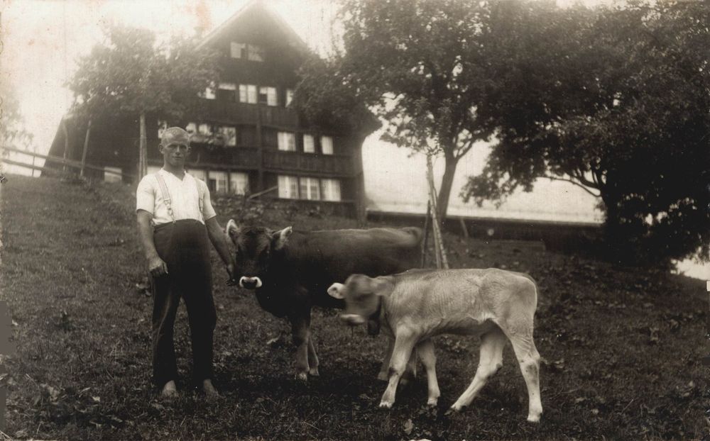 Bauer mit Kuh und Kalb vor Appenzeller Bauernhaus (Gebraucht) in Bronschhofen für CHF 12 – mit ...