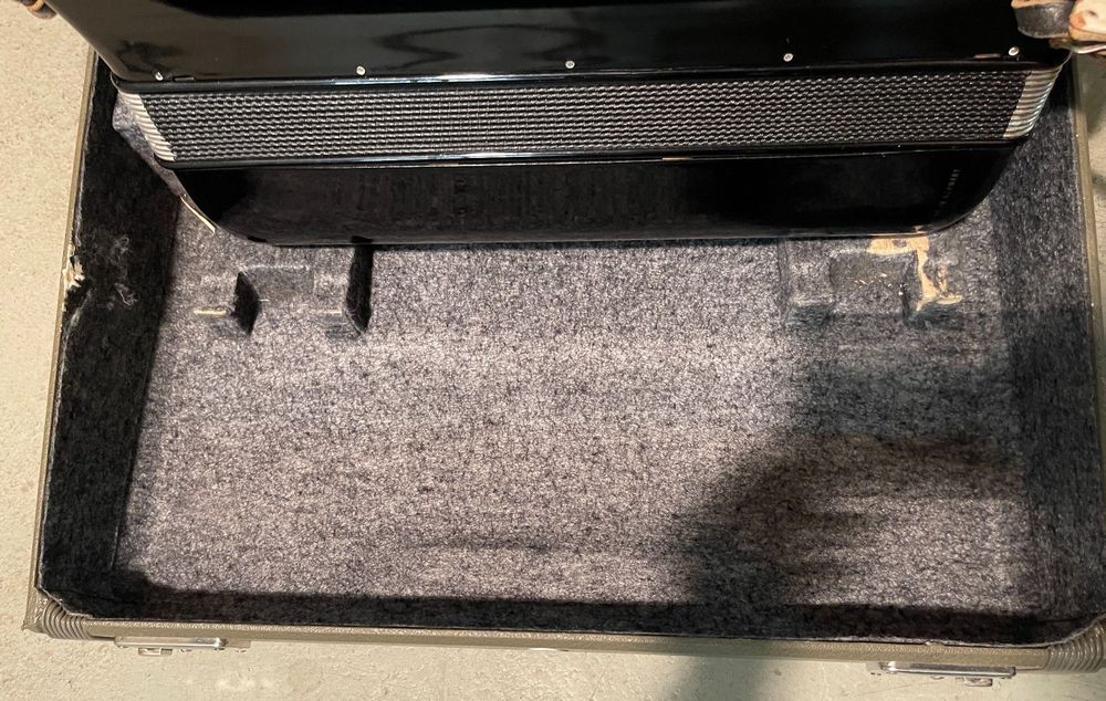 Akkordeon Hohner Electronium | Kaufen auf Ricardo