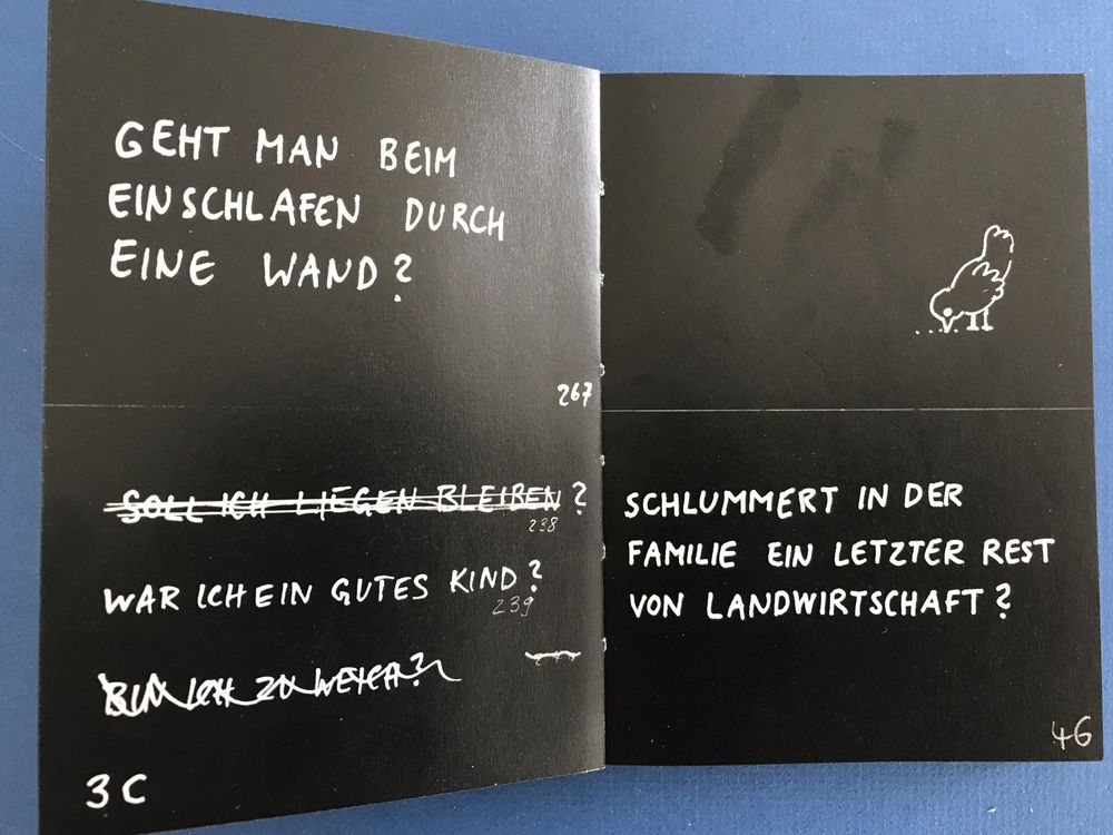 FISCHLI-WEISS KÜNSTLERBUCH (Gebraucht) in für CHF 7 – mit Lieferung auf ...