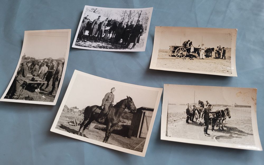 Wehrmacht, Kavallerie | Kaufen auf Ricardo