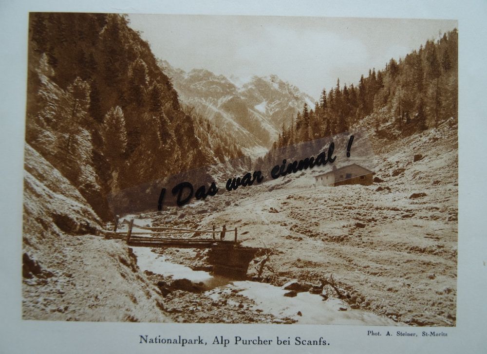 Graubünden Scanfs Alp Purcher um1900 (Gebraucht) in Safnern für CHF 5 – mit Lieferung auf ...