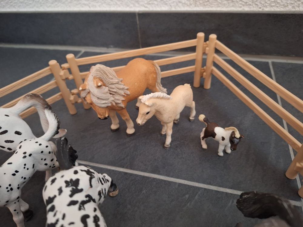Schleich Pferde Set (Set 5) (Gebraucht) in Pfungen für CHF 25 – nur Abholung auf Ricardo kaufen