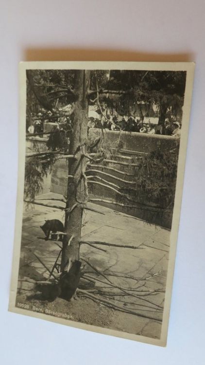 Bern - Bärengraben - belebt - 1923 | Kaufen auf Ricardo