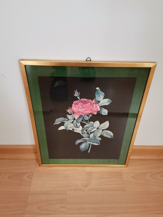 Rosenbild, Blumenbild, Pflanzenbild, Goldrahmen, Shabby Chic (Gebraucht) in Wiedlisbach für CHF ...