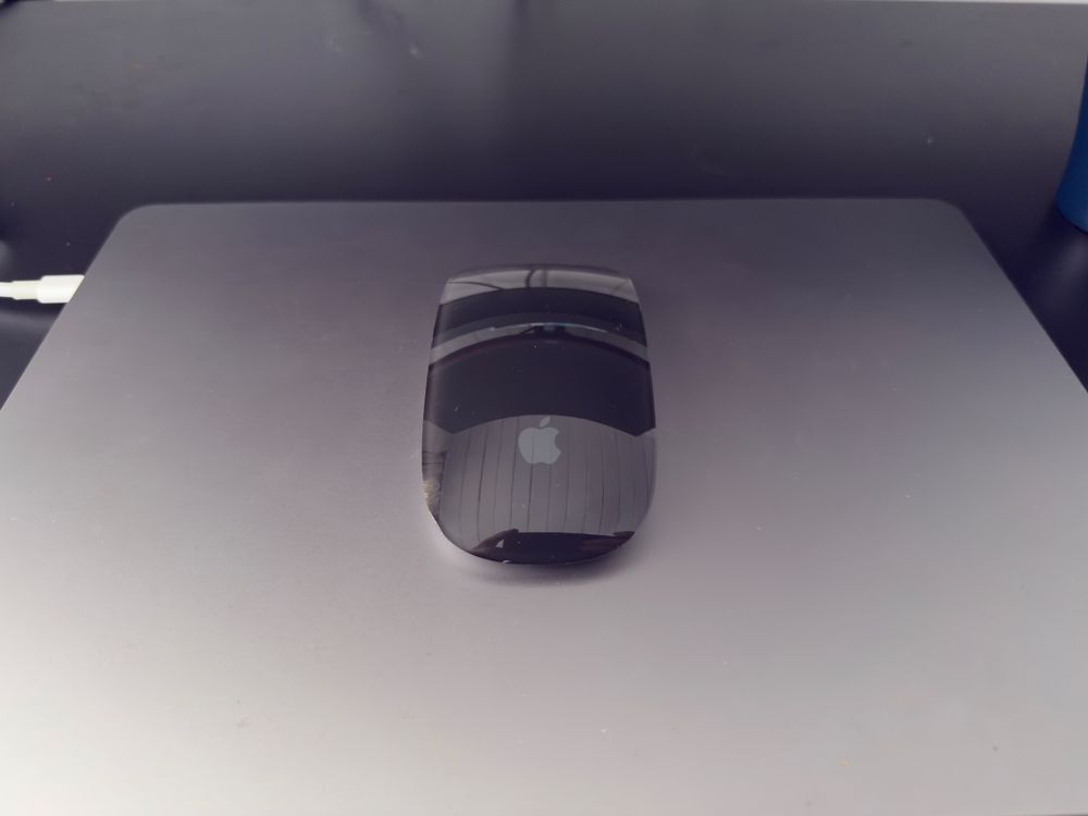 Apple Magic Mouse 2022 mit Kabel (Gebraucht) in Neuägeri für CHF 30 ...