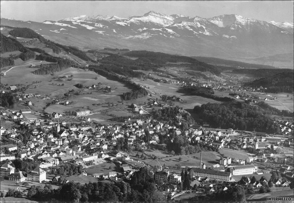 Wald ZH // 1972 Luftaufnahme mit Speer und Schäniserberg | Kaufen auf Ricardo