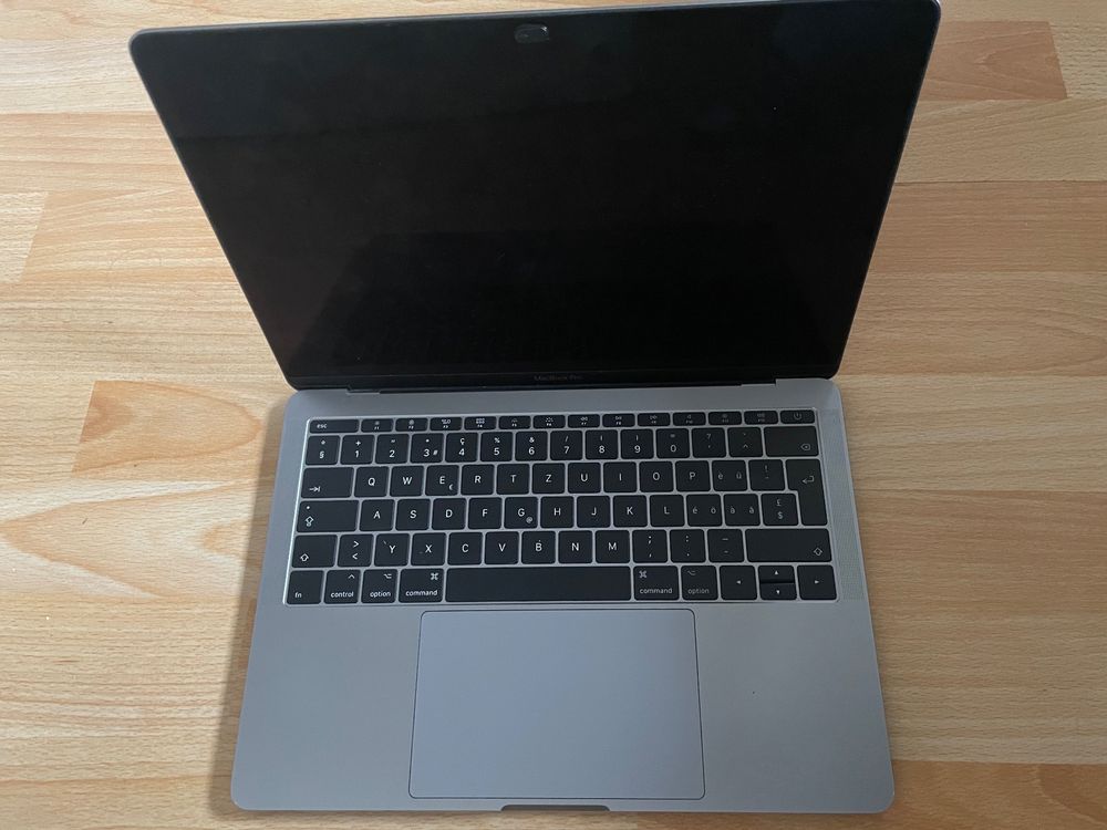 MacBook Pro Grey (13", Mitte 2017) Bildschirm defekt! (Defekt) in ...