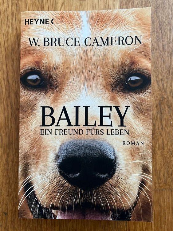 Buch "Bailey, ein Freund fürs Leben" (Roman) (Gebraucht) in Grosswangen ...